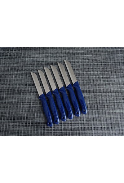Solingen Meyve Bıçağı 6'lı Simli Lacivert Solingen Meyve Bıçağı 6'lı Simli Lacivert