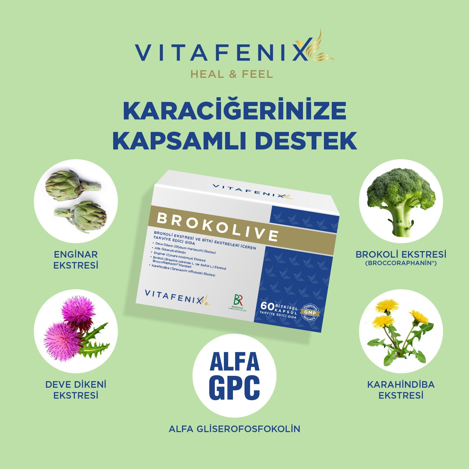 Vitafenix Brokolive Brokoli Ekstresi ve Bitki Ekstreleri Fiyatı