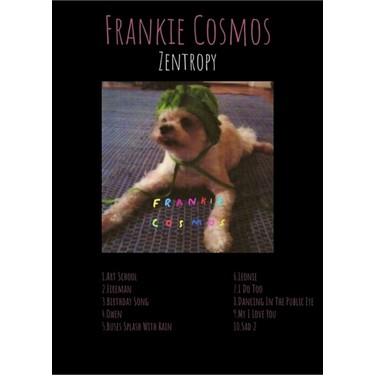 Frankie Cosmos Zentropy Frankie Cosmos "Art School" (Official Music