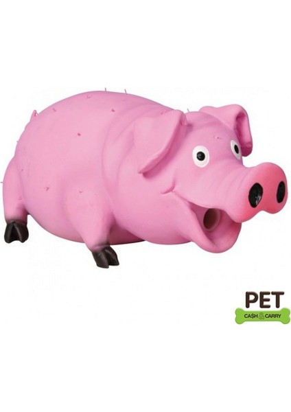 Trixie Köpek Oyuncağı Sesli Domuz 21CM 326107 Fiyatı