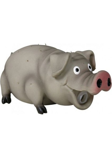 Trixie Köpek Oyuncağı Sesli Domuz 21CM 326107 Fiyatı