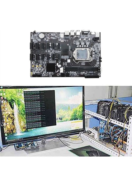 Guitar B75 Eth Madencilik Anakart 12 PCIE+G1610 Cpu+4pın Fiyatı