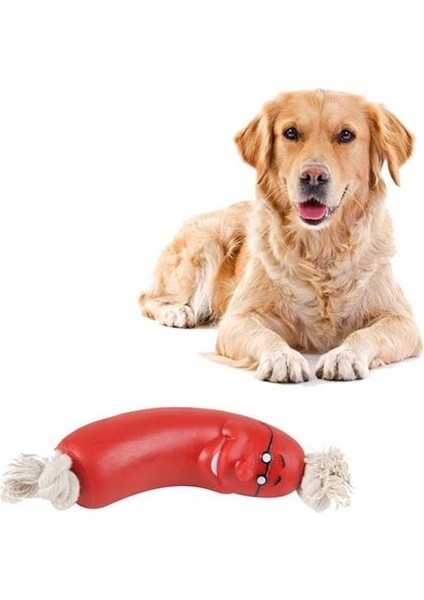 Andy Home Evcil Hayvanlar Için Eğitici 4 Adet Sevimli Fiyatı