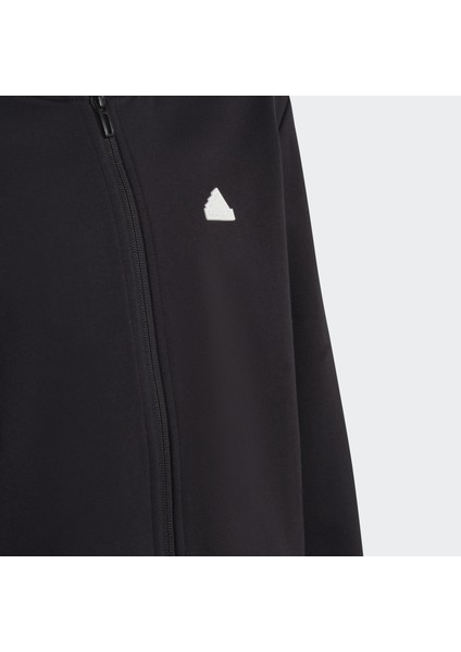 Adidas Sportswear HR6290 Future Icons 3-Stripes Track Suit Fiyatı