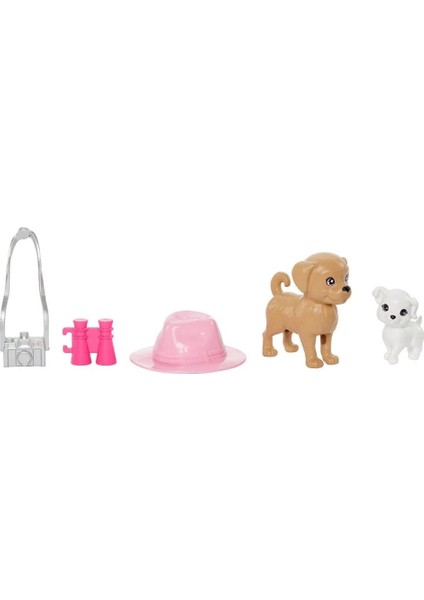 HRM09 Barbie ve Stacie Kız Kardeşler Ikili Set - Barbie & Fiyatı