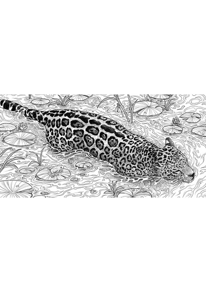 Fragile World: Colour Nature's Wonders Kitabı ve Fiyatı