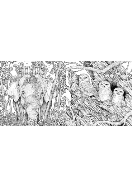 Fragile World: Colour Nature's Wonders Kitabı ve Fiyatı