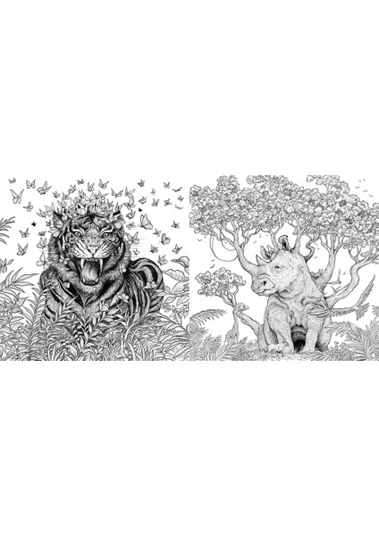 Fragile World: Colour Nature's Wonders Kitabı ve Fiyatı