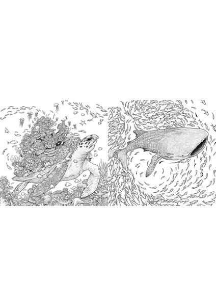 Fragile World: Colour Nature's Wonders Kitabı ve Fiyatı