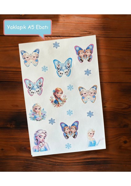 Birikiyedi Frozen Elsa 2 Li Set Sticker Telefon Laptop Fiyatı