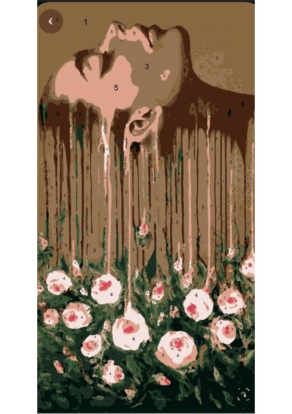 Sayılarla Boyama Tuval Seti Fiyatı - Taksit Seçenekleri