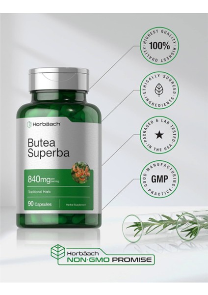 Horbaach Butea Superba Root 840MG 90 Capsul Male Fiyatı