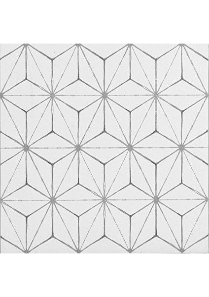 Menashop 10 Adet Beyazlar, Set ve Kirli Fayansları, Beyaz Fiyatı