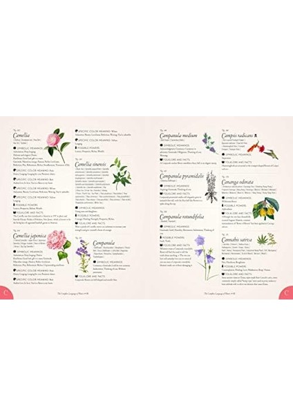 Complete Language Of Flowers: A Definitive And Illustrated, Peşin ...