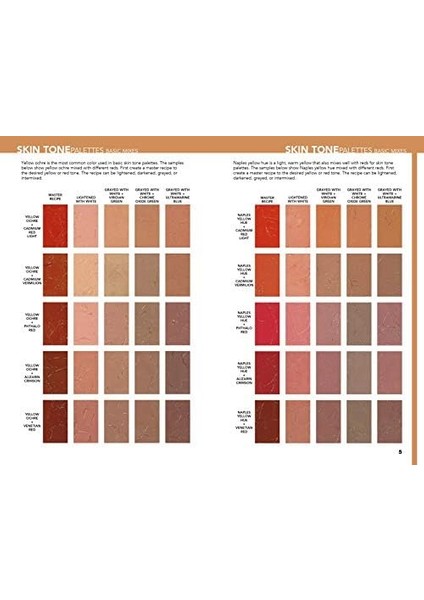 Color Mixing Recipes For Portraits: More Than 500 Color Kitabı