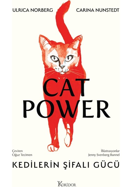 Cat Power: Kedilerin Şifalı Gücü Kitabı ve Fiyatı - Hepsiburada