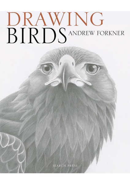 Drawing Birds Kitabı ve Fiyatı - Hepsiburada