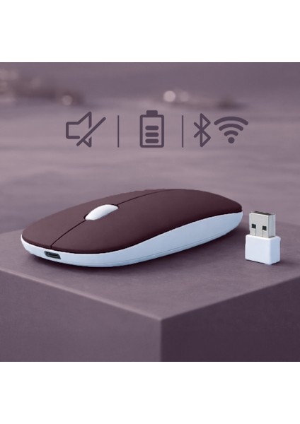 Sneezy Type-C Şarjlı Bluetooth Mouse MacBook iPad Laptop Fiyatı