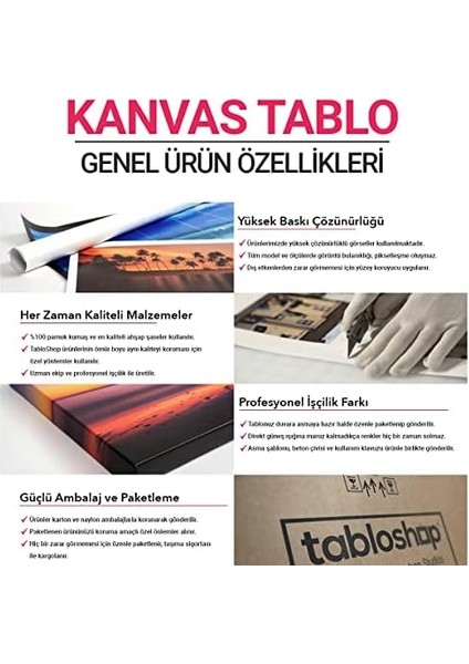 Amsterdam Dikey Tablo 40 x 60 Fiyatı - Taksit Seçenekleri