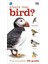 Rspb What's That Bird?: The Simplest Id Guide Ever Kitabı