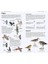Rspb What's That Bird?: The Simplest Id Guide Ever Kitabı