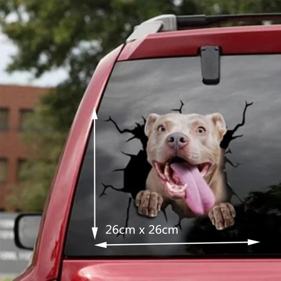 Qiuhong Shop 3 H Tarzı Domuz Çatlak Araba Sticker Köpek Fiyatı