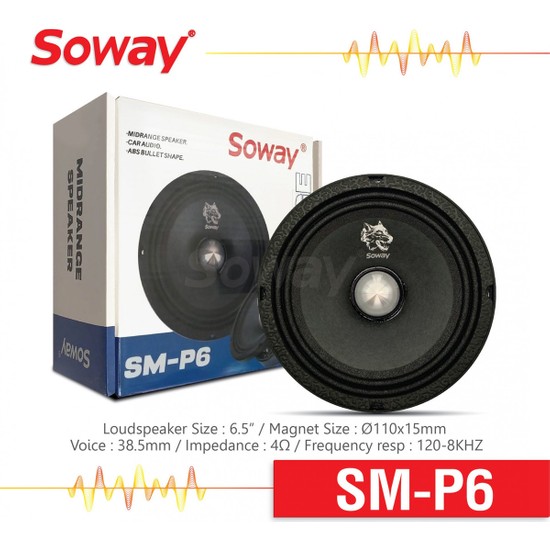 Exvol Soway Sm-P6 16 cm Kurşun Göbek Midrange 300W 100RMS Fiyatı