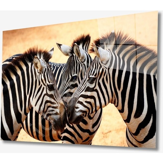 Teknoxx Zebra Hayvan Cam Tablo 4mm Dayanıklı Temperli Cam Fiyatı