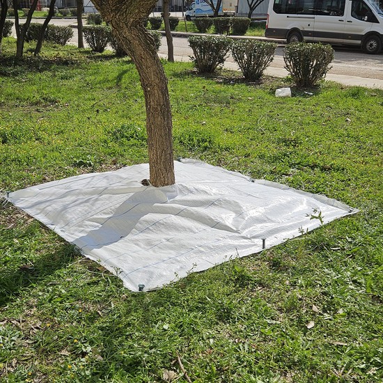 Sera Trend 3x3 Metre Ağaç Koruma Örtüsü ve Sabitleme Çivisi Fiyatı