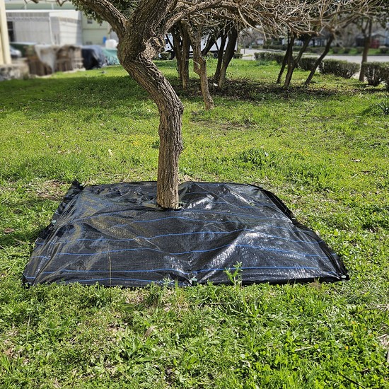 Sera Trend 4x4 Metre Ağaç Koruma Örtüsü ve Sabitleme Çivisi Fiyatı