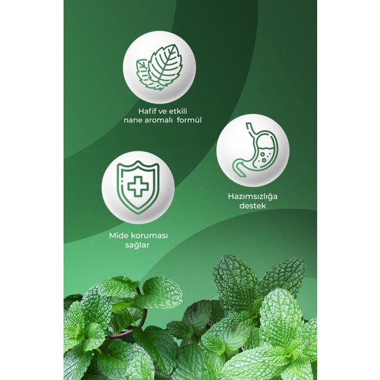 Wellvalens Relief Guard Antiasit Nane Aromalı 24 Fiyatı