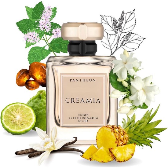 Creamia Pantheon - EDP Niş Erkek Parfüm 50 ml Fiyatı