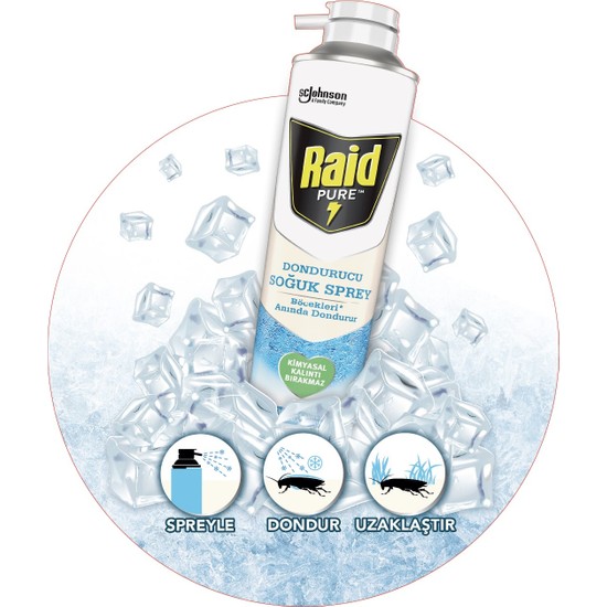 Raid Pure Böcek Dondurucu Sprey 350 ml Fiyatı - Taksit Seçenekleri