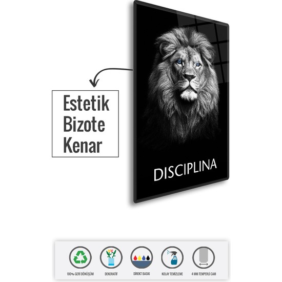 Decorita Cam Tablo | Motivasyon Serisi | Lion - Discipline | Fiyatı