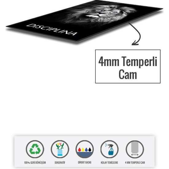 Decorita Cam Tablo | Motivasyon Serisi | Lion - Discipline | Fiyatı