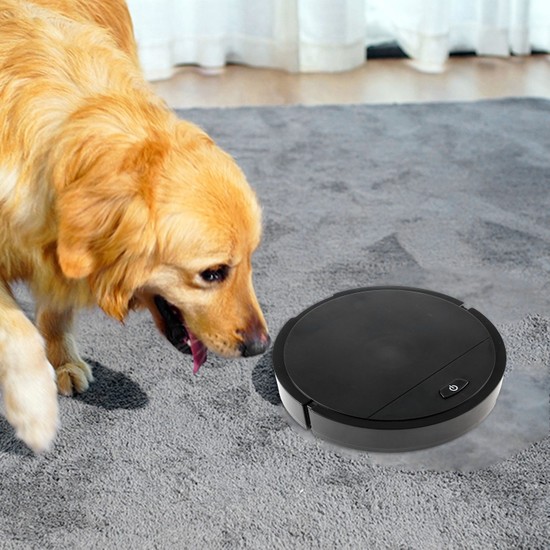 Remedy Robot Süpürge Islak Süpürge Süpürgesi Toz Süpürgesi Fiyatı