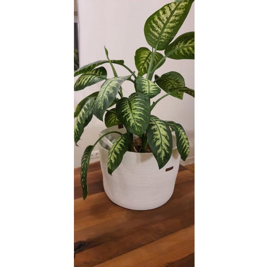 Emn Design Çok Amaçlı Dekoratif Ev Dizayn Için Banyo Salon Fiyatı