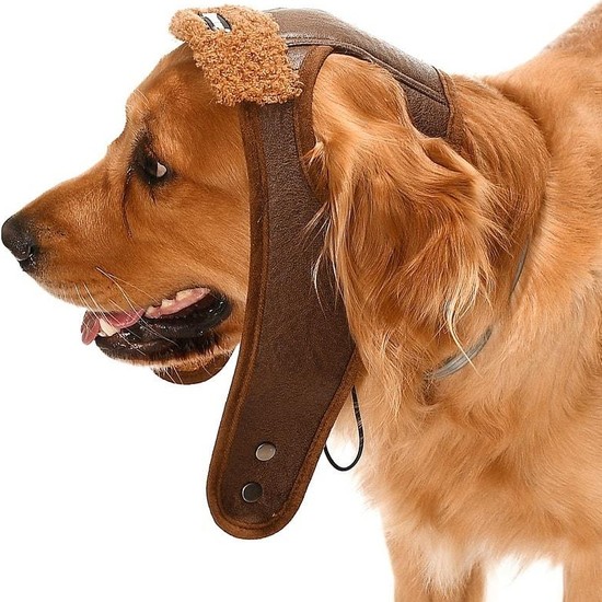 Petza Küçük Orta ve Büyük Irk Köpek Şapka Pilot Kahve Fiyatı