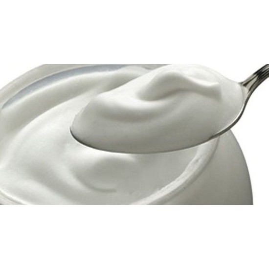 Tito Endüstriyel Yoğurt Kültürü 10 Unite x 1 Adet Fiyatı