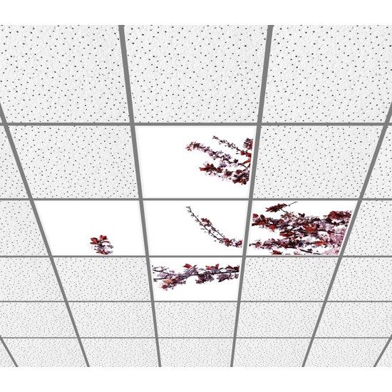 Gök Panel 60 x 60 LED Panel Aydınlatma Desenli 3x3 5'li Grup Fiyatı