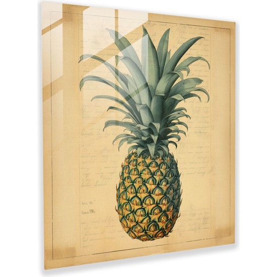 Painted Anarchy Vintage Ananas Retro Cam Baskı - Ananas, Fiyatı