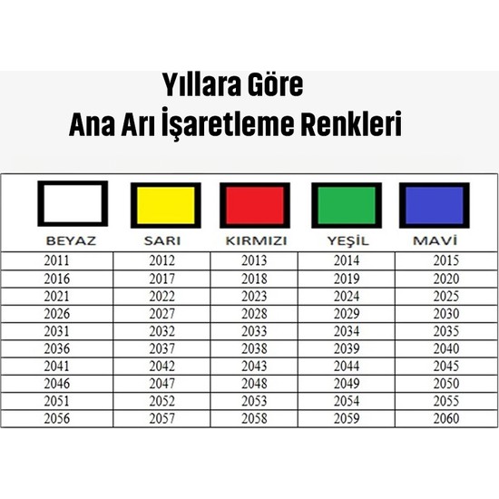 Aslan Petek Sarı Renk Ana Arı Boyama Kalemi Schneider Fiyatı
