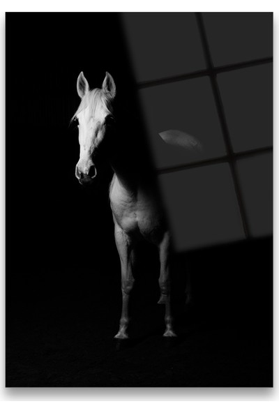 Glass Art Concept At Cam Tablo