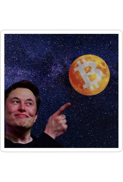 Universal Elon Bitcoin Ay'a Sticker Araba Oto Arma Duvar Sticker Ev Dekoratif Çıkartma 15 cm Universal Elon Bitcoin Ay'a Sticker Araba Oto Arma Duvar Sticker Ev Dekoratif Çıkartma 15 cm