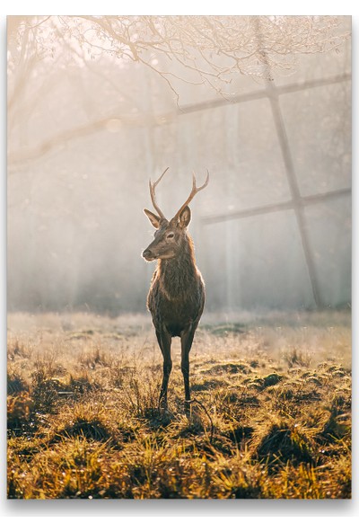 Glass Art Concept Geyik Cam Tablo Glass Art Concept Geyik Cam Tablo