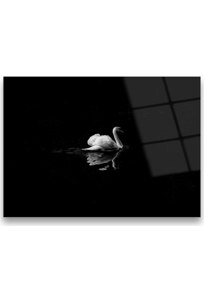 Glass Art Concept Kuğu Cam Tablo