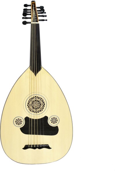 Music Station Kahverengi Profesyonel Ud