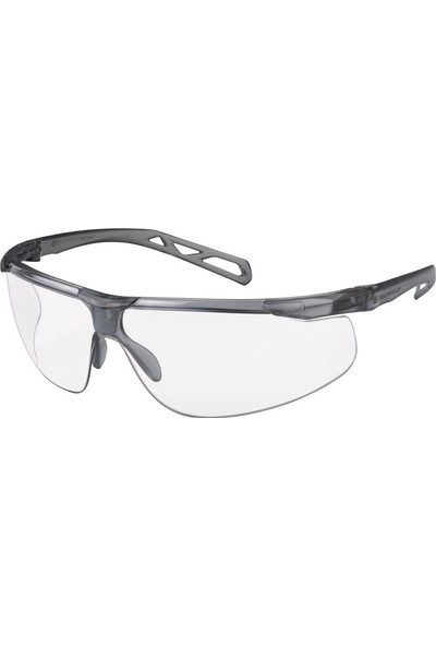 Delta Plus Kıska Şeffaf Koruyucu Iş Gözlüğü