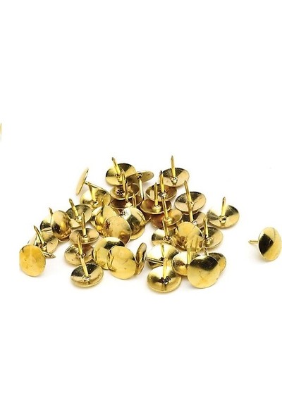 Acy Pirinç Kabara Raptiye Altın Renk 18 mm 100'LÜ Acy Pirinç Kabara Raptiye Altın Renk 18 mm 100'LÜ