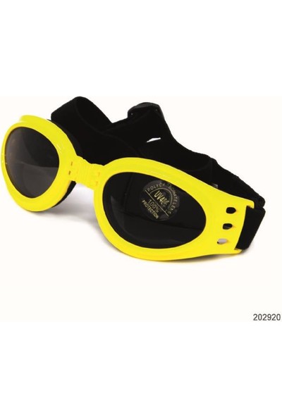 Cat Dog Life Doglife Köpekler Için Güneş Gözlüğü Sarı Renk